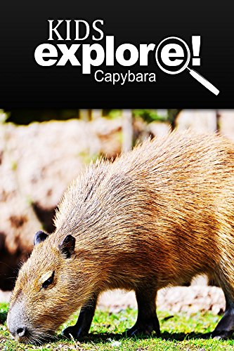 Amazon.com: Capybara - Kids Explore: Animal books nonfiction - books ...