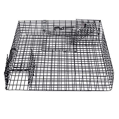 Rugged Ranch CHPTO Chipmunkinator 2 Door Small Metal Wire Multi-Catch ...