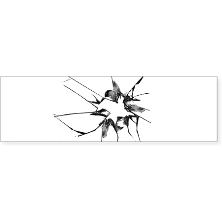 Amazon.com: Broken Glass Sticker Bumper Sticker Vinyl Decal 5" : Automotive