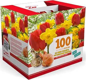 Amazon.com : 100 Count Tulip & Daffodil Mix Flower Bulb Box with Easy ...