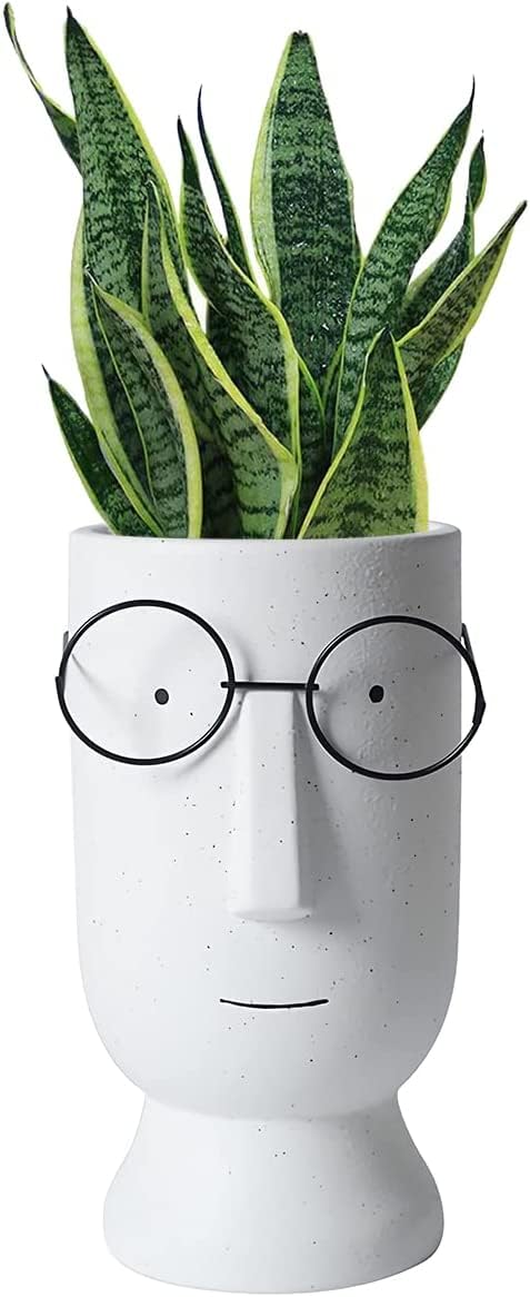 Amazon.com: TENLOY Face Planters Pots,9.6 inch Unglazed Terracotta Pots ...