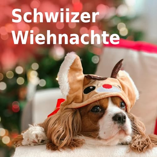 Jingle Bells, Schlittenfahrt im Schnee Song von Mark Forster ...