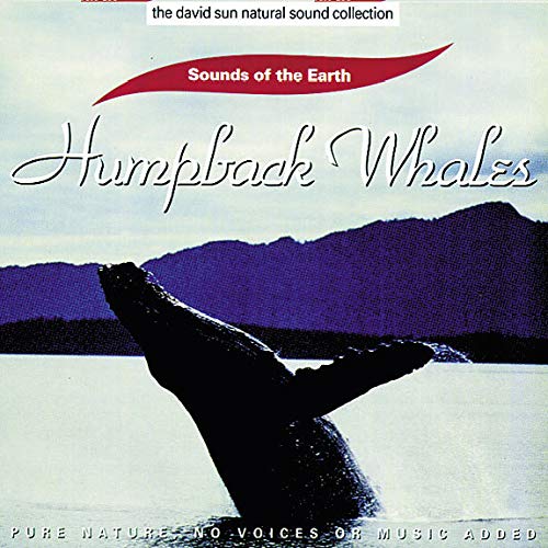 Humpback whales : Sounds of the Earth: Amazon.es: CDs y vinilos}