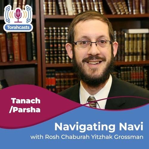 Navigating Navi : Yitzhak Grossman: Amazon.in: Audible Books & Originals