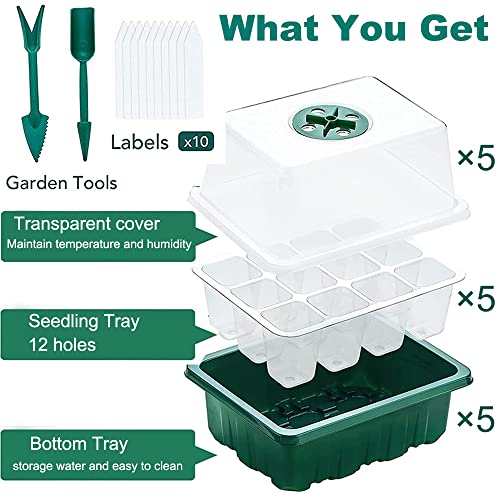 Indoor Greenhouse Propagation Greenhouse Pack of 5 Mini Greenhouse ...