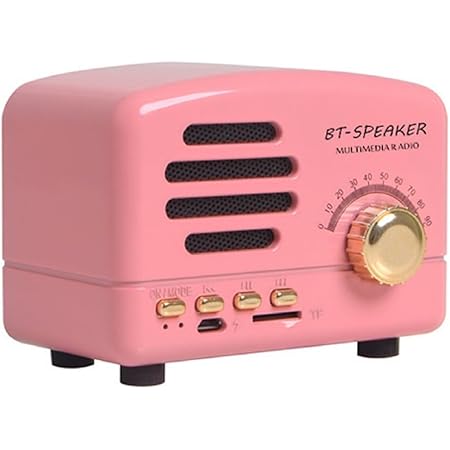 Amazon.com: Mini Vintage Radio, Portable Retro AM FM Support Card ...
