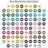 Amazon.com: Tombow 56149 Dual Brush Pen Art Markers, 96 Color Set with ...