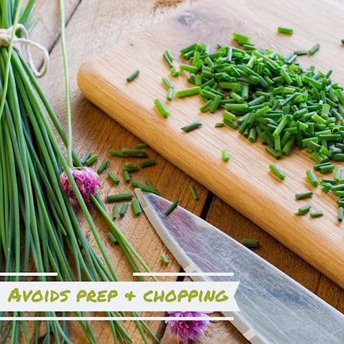The 27 Best Garlic Chives of 2025 [Verified] - Cherry Picks