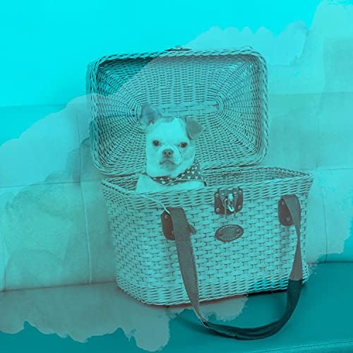 Ambiance For Cute Dogs De Music For Dogs En Amazon Music Unlimited ambiance-for-cute-dogs-de-music-for-dogs-en-amazon-music-unlimited