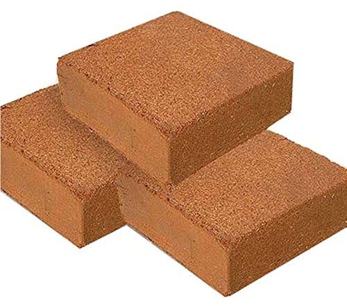 qualityseclect Cocopeat Brick 5 Kg (3 Bricks) : Amazon.in: Garden ...