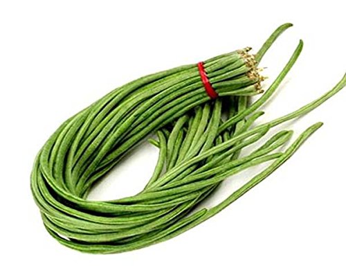 TrustBasket Premium Vegetable Cow Pea - lobhiya Seeds (Op) | Sow and ...