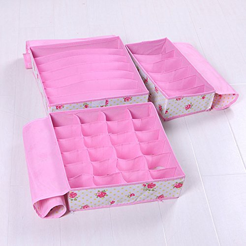 Amazon.com : Pink Closet Organizers for Underwear, Bras, Socks, Ties ...