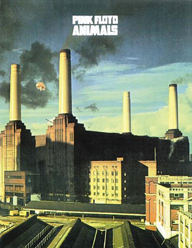 Pink Floyd: Animals : Pink Floyd: Amazon.co.uk: Books