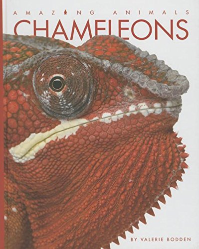 Chameleons (Amazing Animals): Bodden, Valerie: 9781608186099: Amazon ...