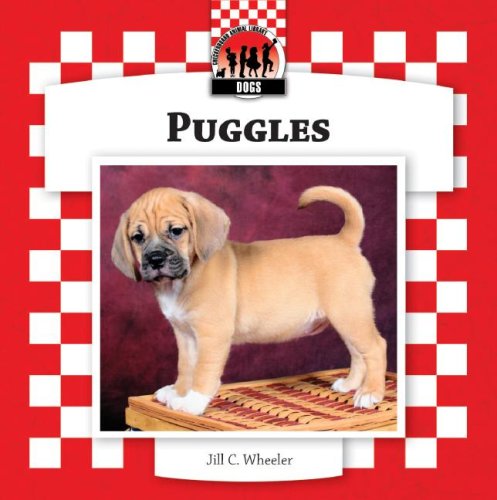 Puggles (Designer Dogs Set 7, 7): Wheeler, Jill C.: 9781599289656 ...