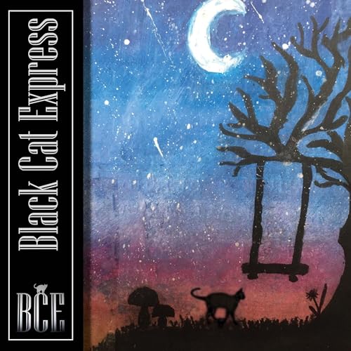 Écouter Black Cat Express de Soeren Rodenberg sur Amazon Music Unlimited