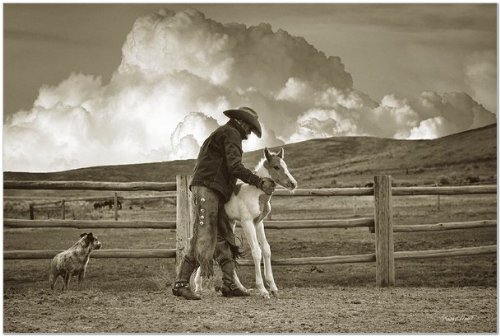 SMART ART - 'Lost n Found' by Barry Hart - Fine Art Print 24x16 inches ...