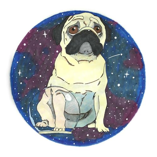 Amazon.com: The Flight of Puggy Jackson : Melon Soda: Digital Music