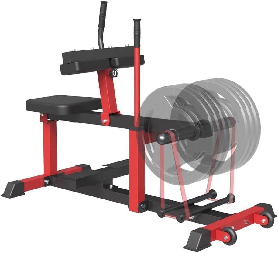 Bodylean Fitness Leg Sled - Leg Press Machine, 650 LB Capacity, Black ...
