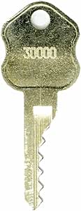Brinks 32965 Safe Lock Replacement Key 32965: Amazon.com: Tools & Home ...