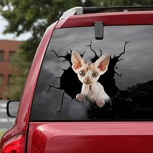 Amazon.com - GERBERA PRINTS Lovely Sphynx Cat Cracked Car Decal Sticker ...