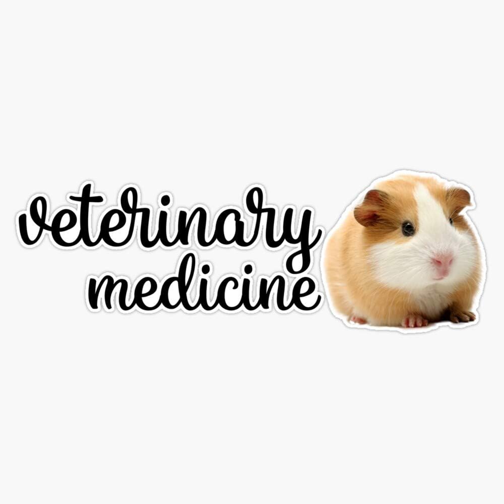 Amazon.com: Leyland Designs Veterinary Medicine Guinea Pig Sticker ...