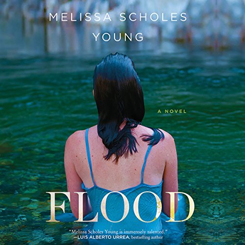 Amazon.com: Flood: A Novel (Audible Audio Edition): Melissa Scholes ...