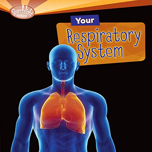 Amazon.com: Your Respiratory System (Audible Audio Edition): Judith ...