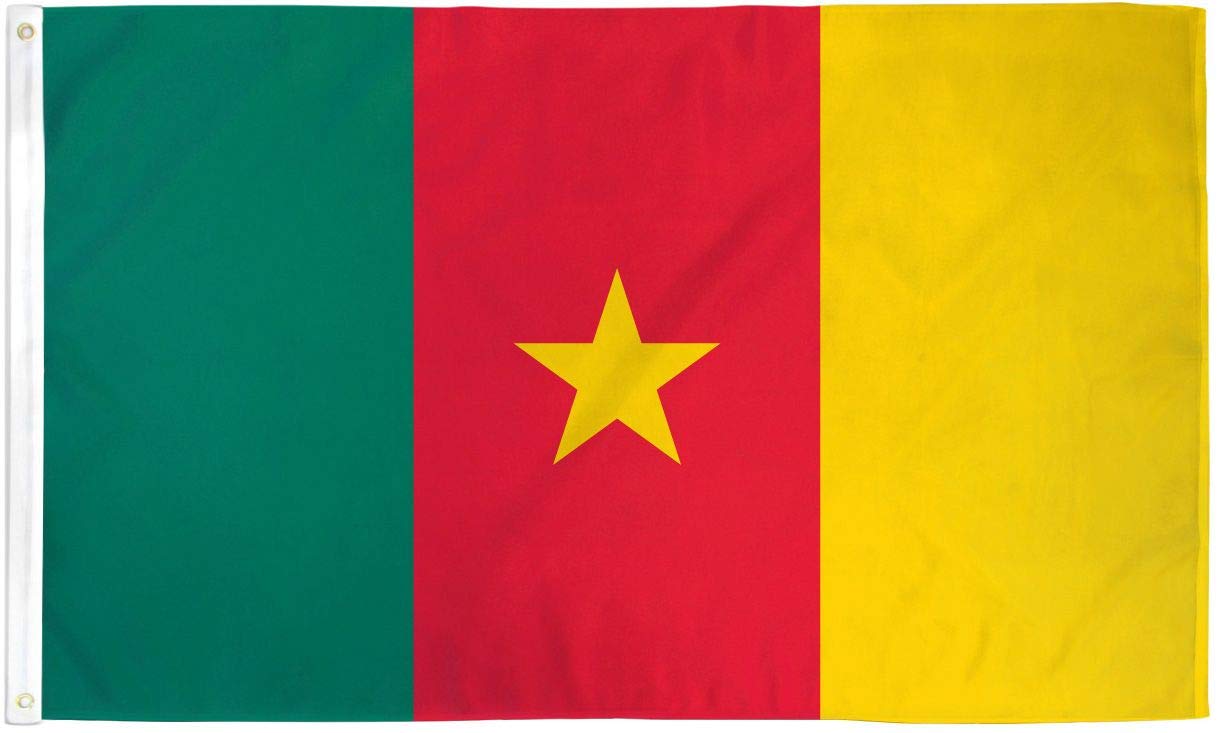 Amazon.com : Cameroon Flag 3x5ft Poly - INTERNATIONAL FLAGS : Patio ...