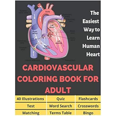 Cardiovascular Coloring Pages [2025]