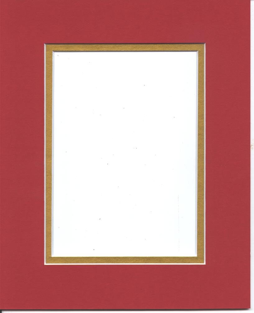 Amazon.com: 16x20 Bright Red & Gold Double Picture Mat, Bevel Cut for ...