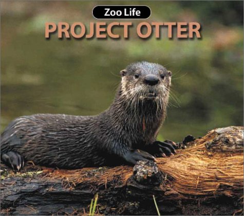 Project Otter (Zoo Life): Ring, Susan: 9781590360590: Amazon.com: Books