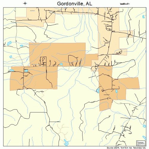 Large Street & Road Map of Gordonville, Alabama AL - Printed poster ...