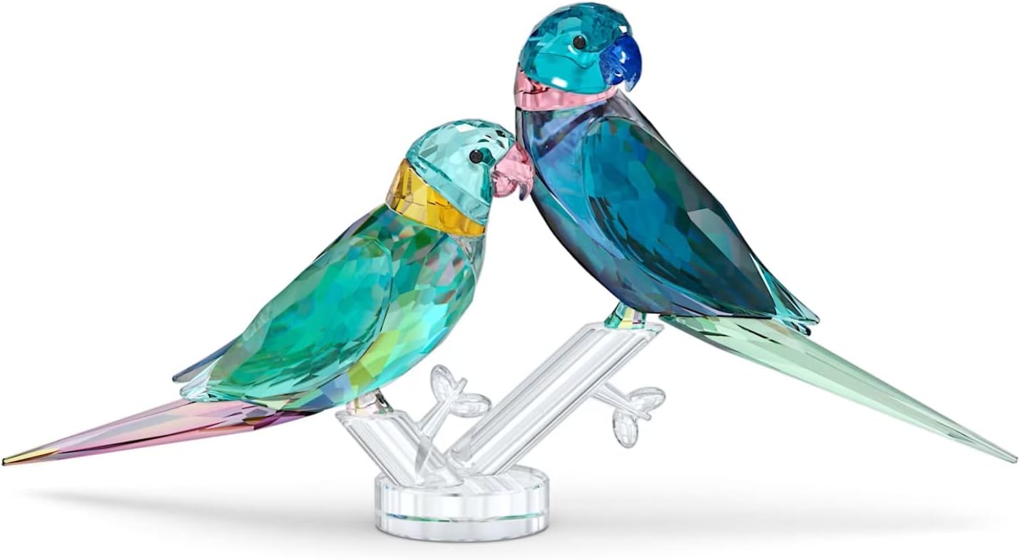 Amazon.com: Jungle Beats Parakeet Couple Fife & Fifer : Home & Kitchen