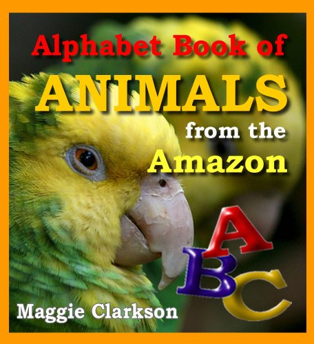 Alphabet Book Of Animals: A Kids Book About Rainforest Animals ...
