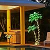 Amazon.com: LIGHTSHARE Gorgeous Artificial Lighted Solar Palm Tree 4FT ...