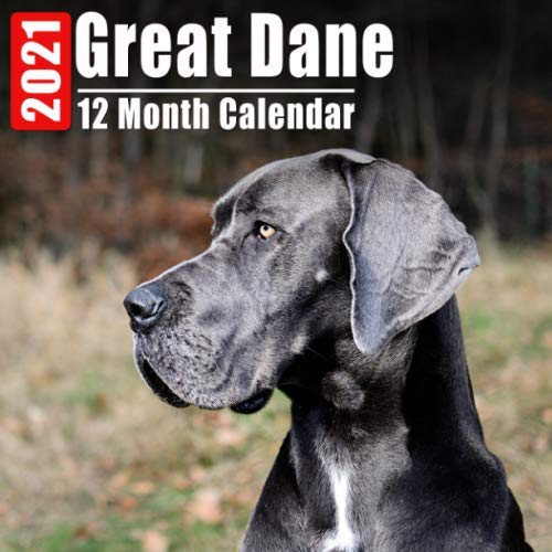 Mini Calendar 2021 Great Dane: Cute Great Dane Photos Monthly Small ...