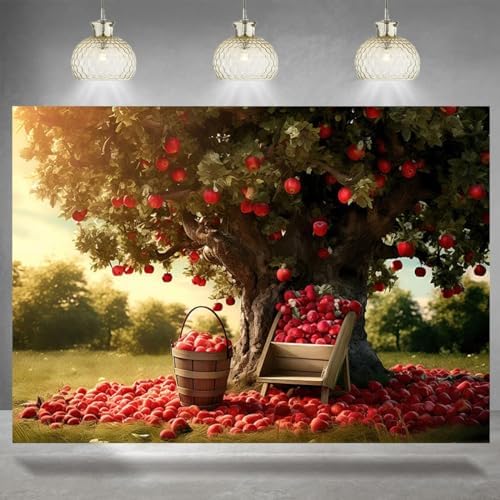 Amazon.com : Apple Trees Orchard Photography Background Children ...