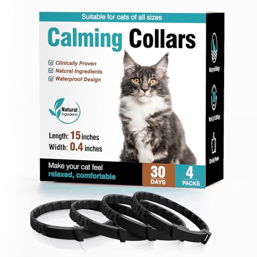 Cat Calming – The 15 best products compared - Wild Explained