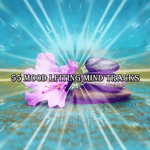 Amazon MusicでWhite Noise Meditationの55 Mood Lfiting Mind Tracksを再生する