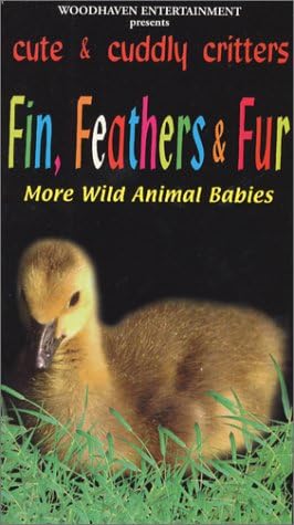 Amazon.com: Fin Feathers & Fur : Fin Feathers & Fur: Movies & TV