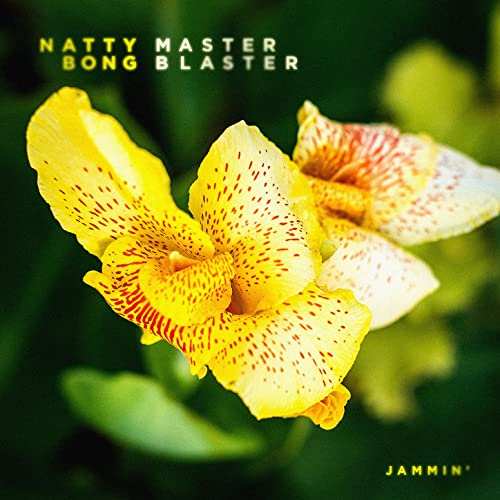 Master Blaster (Jammin') song by Natty Bong from Master Blaster (Jammin ...