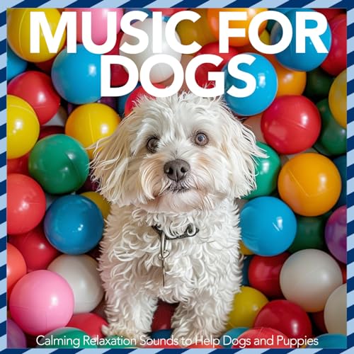 Play Music For Dogs - Calming Relaxation Sounds to Help Dogs and ...