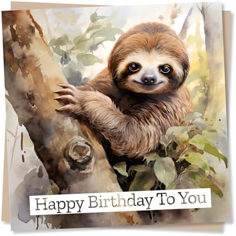 Adorable Sloth Birthday Card - Happy Birthday To You - Made in UK : Amazon.co.uk: Stationery ...