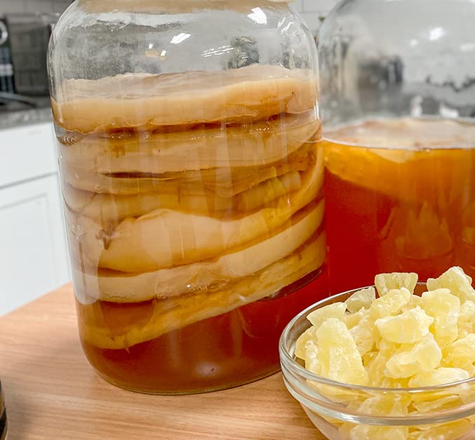 Cultures for Health ENDLESS Live SCOBY Kombucha Starter Bebida ...
