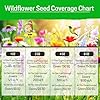 Amazon.com : NatureZ Edge Wildflower Seeds Mix – 1/4 lb, 170,000 Seeds, 35 Variety Perennial ...