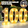 Amazon.com: 100th Birthday Decorations for Women Men,100 Birthday ...