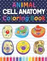 Animal Cell Coloring Sheet Labeled