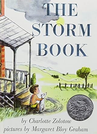 Amazon.co.jp: The Storm Book : 本