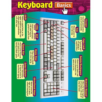 Computer Keyboard Chart [Set of 3]: 0078628381221: Amazon.com: Office ...